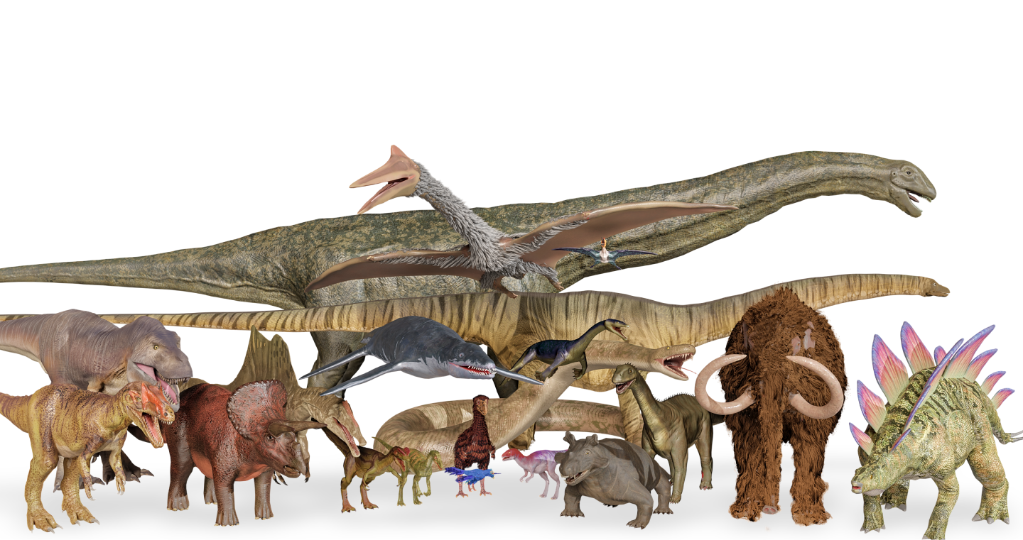 3D Dinopedia: Encyclopedia of dinosaurs in 3D
