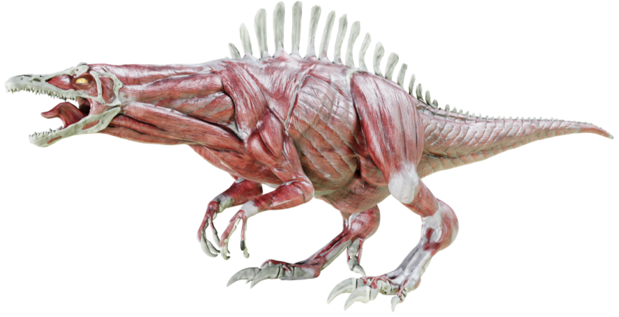 Download the big encyclopedia of 3D dinosaurs 3D Dinopedia | 3D Dinopedia